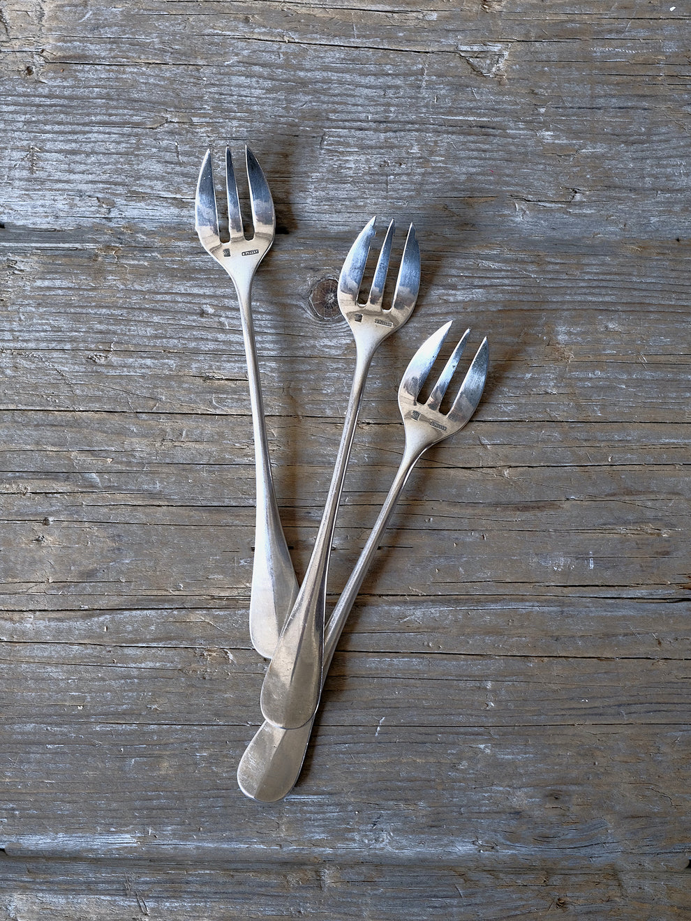 OYSTER FORK – FIVE FROM THE GROUND